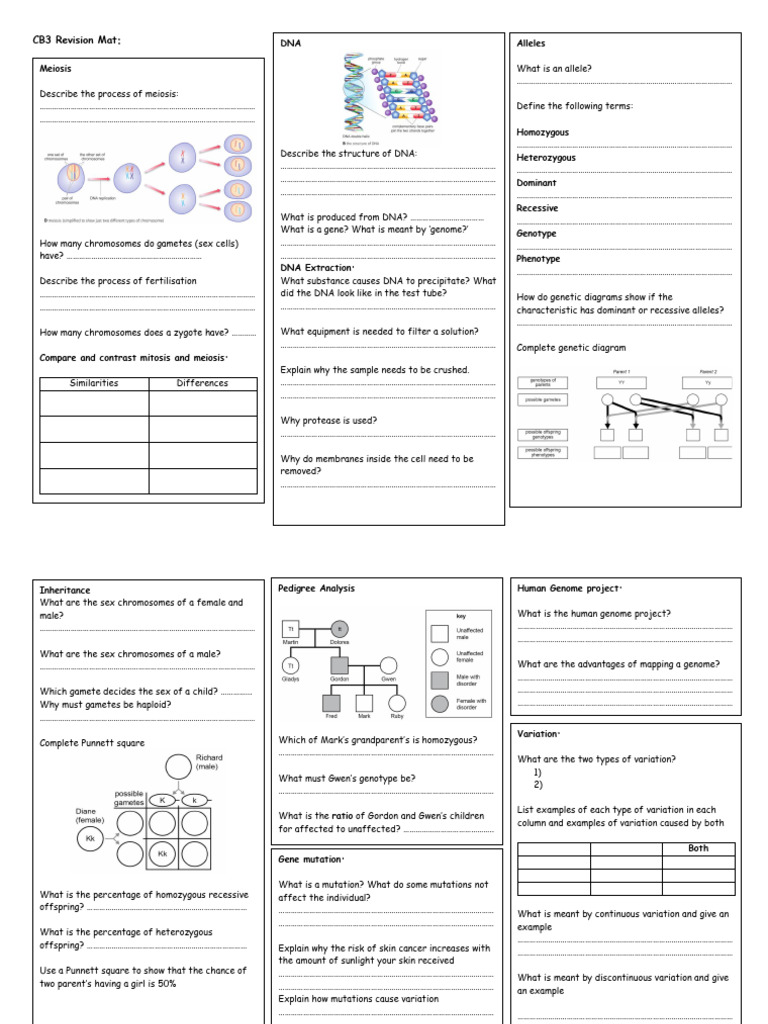 CB3-Revision-Mat Answers | PDF