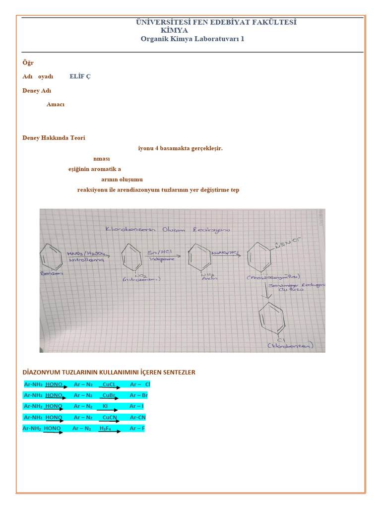 Organik Deney 10 | PDF