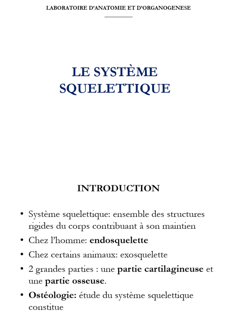 Le Système Squelettique | PDF