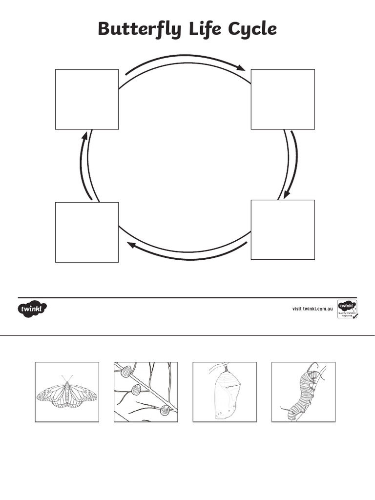 T T 12809a Eyfs Butterfly Life Cycle Cut and Stick Activity Eco Black ...