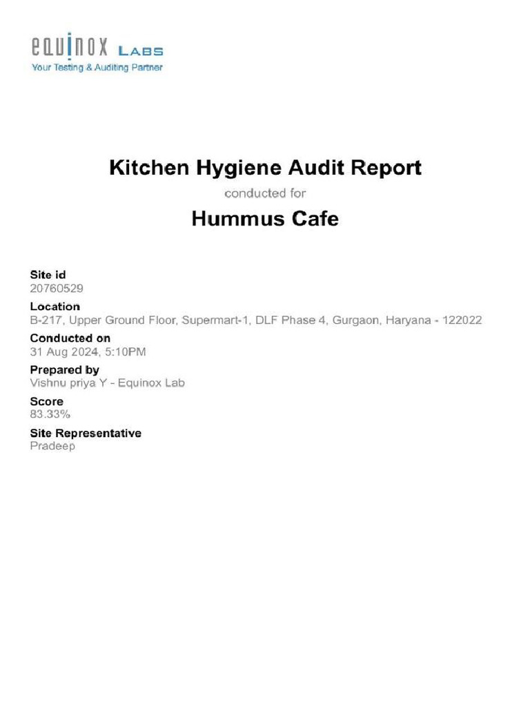 Hygiene Report | PDF
