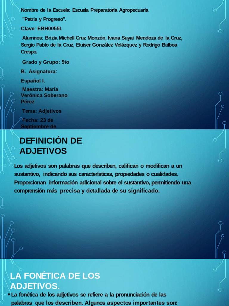 Presentación Brizia | PDF