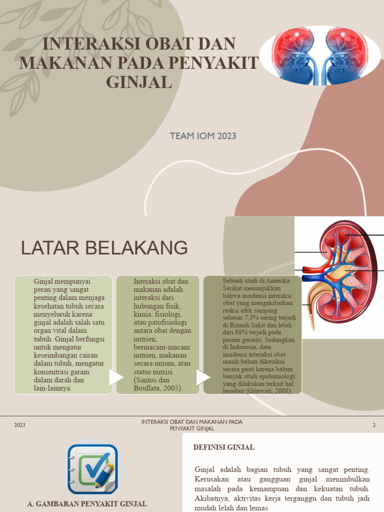 3 Iom Penyakit Ginjal | PDF