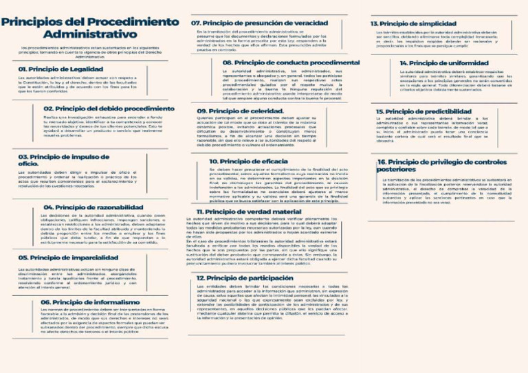 Principios Del Procedimiento Administrativo | PDF