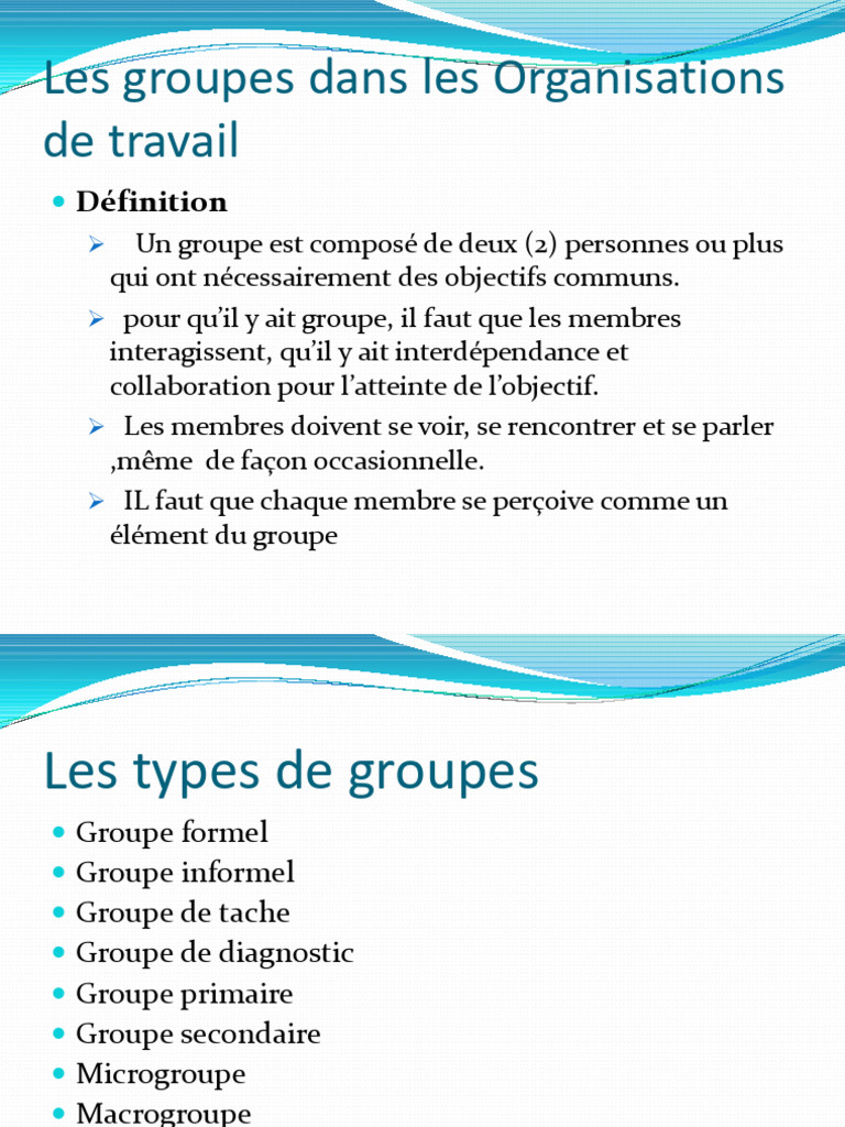 Les Groupes Dans Les Organisations de Travail | PDF