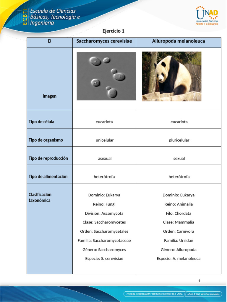 Tarea 2 | PDF