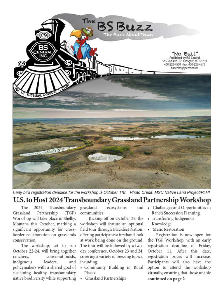 BS Buzz | PDF | Coffee