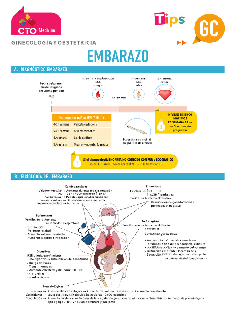 MATERIAL COMPLEMENTARIO. GC. Embarazo | PDF