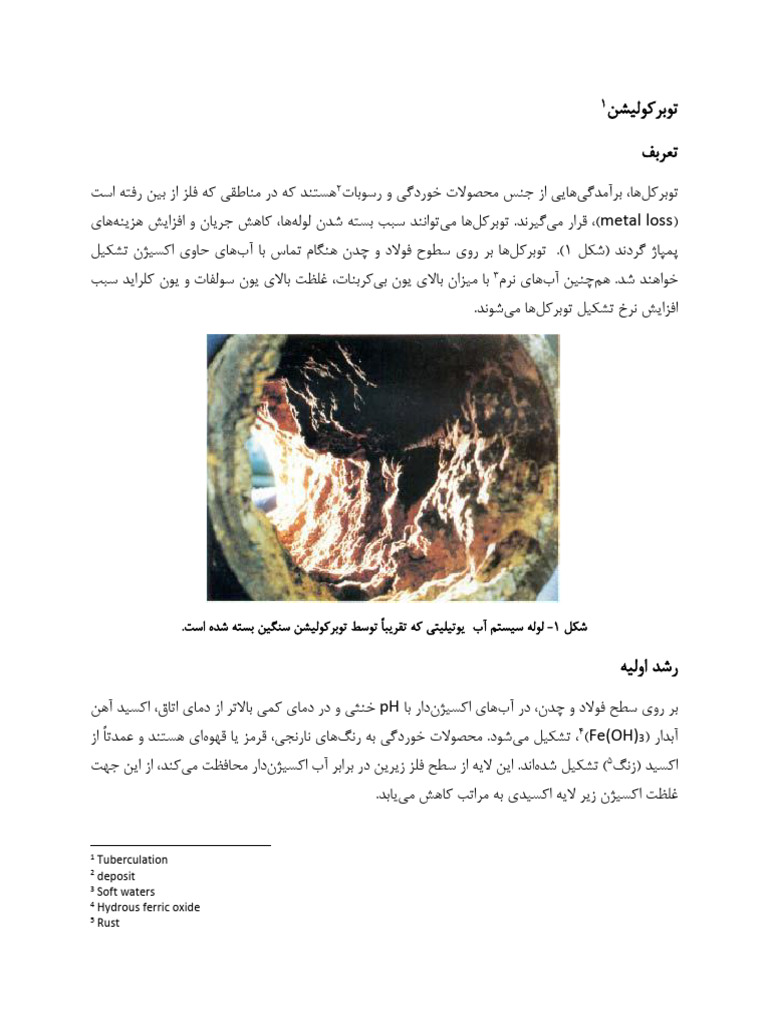 توبرکولیشن: تعریف و ساختار | PDF | Chemical Substances | Metallic Elements