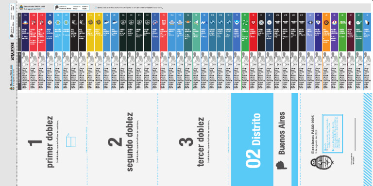 Modelo Boleta PBA (PASO) | PDF