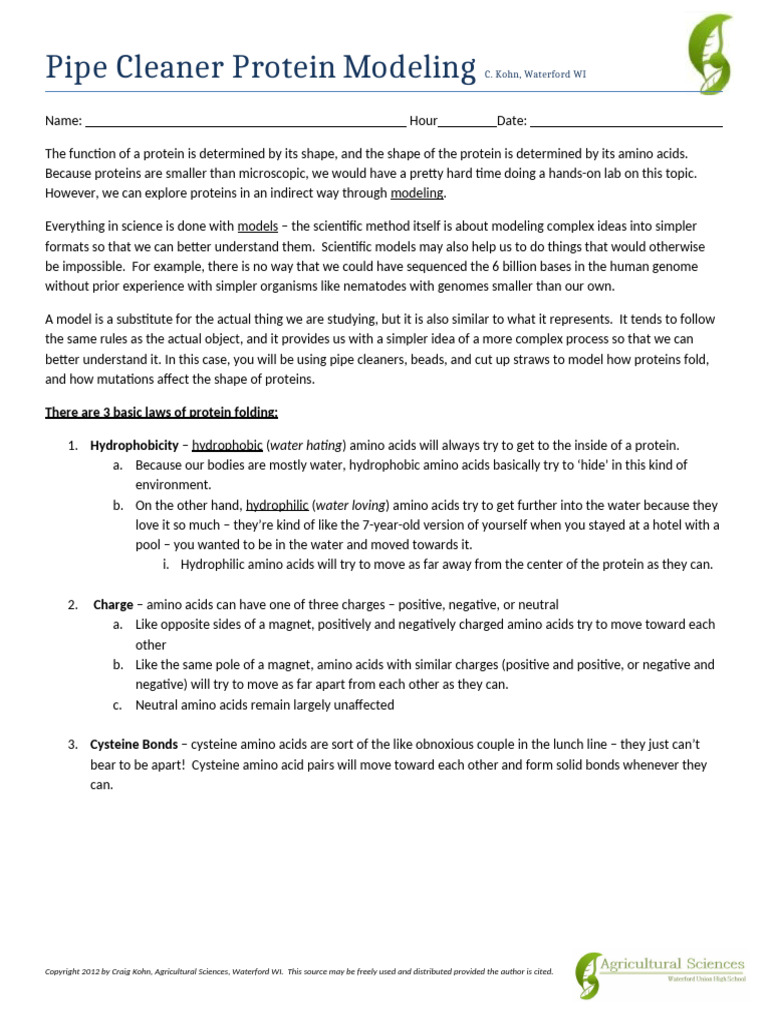Pipe Cleaner Protein Modeling | PDF