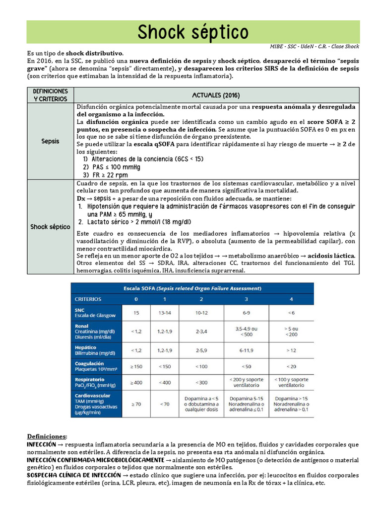 Shock Septico Pdf 2025 – New Sepsis Guidelines 2025 – HJDQC