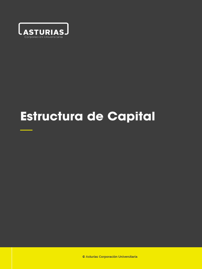 Estructura de Capital | PDF