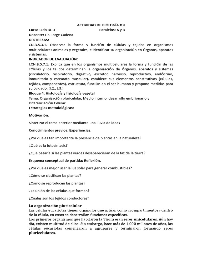 Resumen y Tarea 2do BGU # 9 | PDF