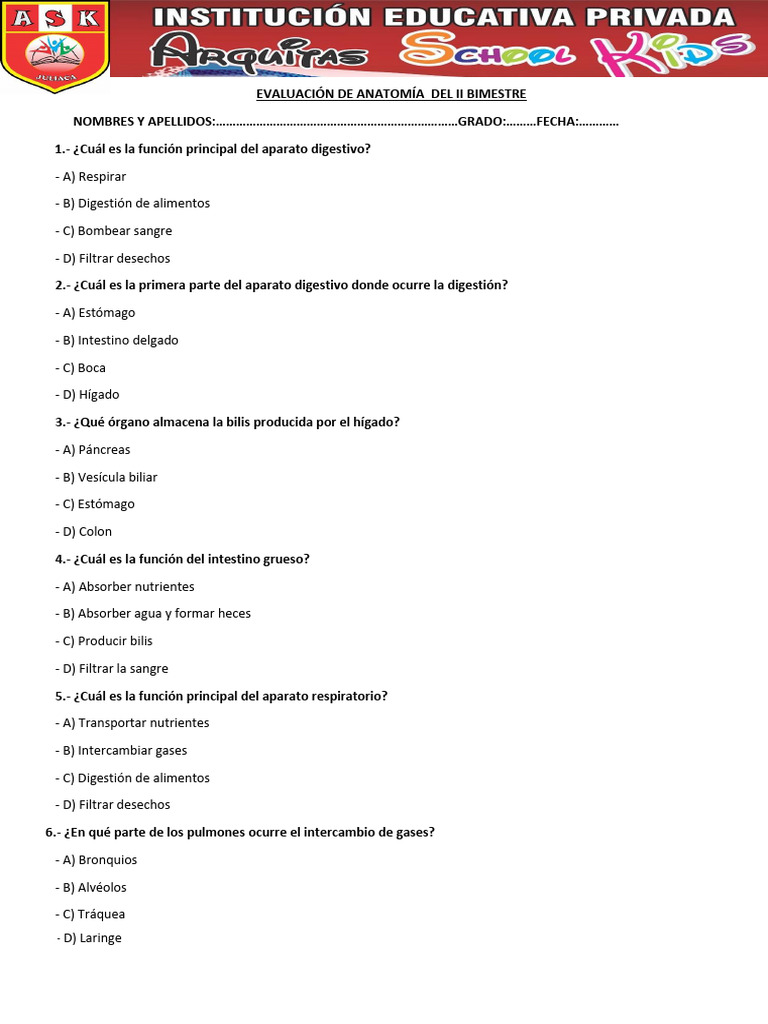 Anatomia Evalu | PDF