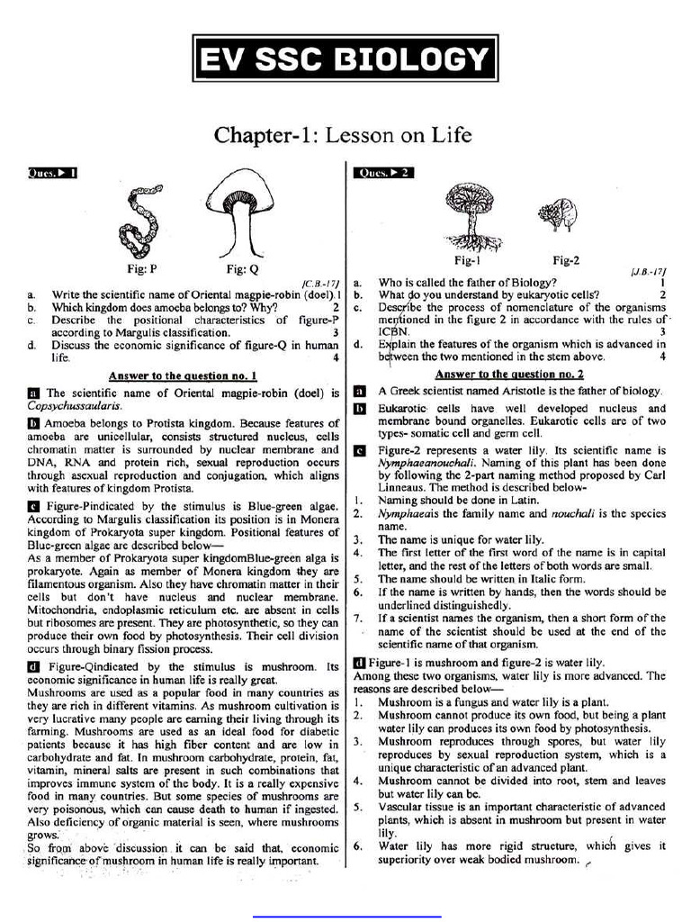 SSC Biology Note English Version | PDF