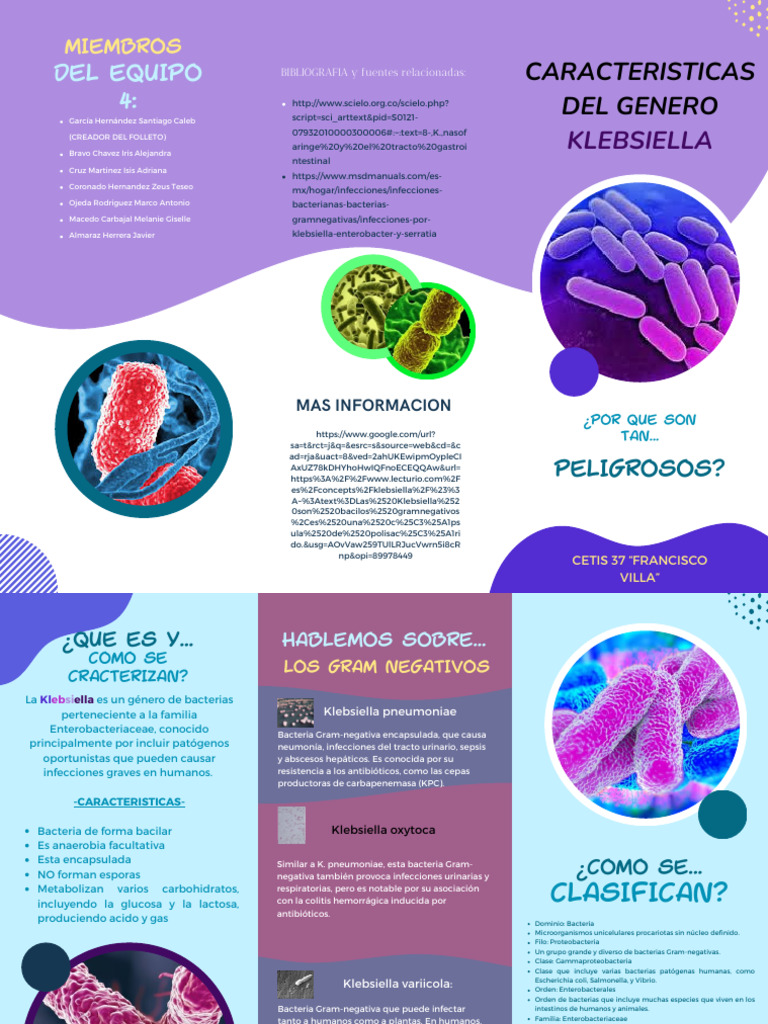K Lepsi Ella | PDF