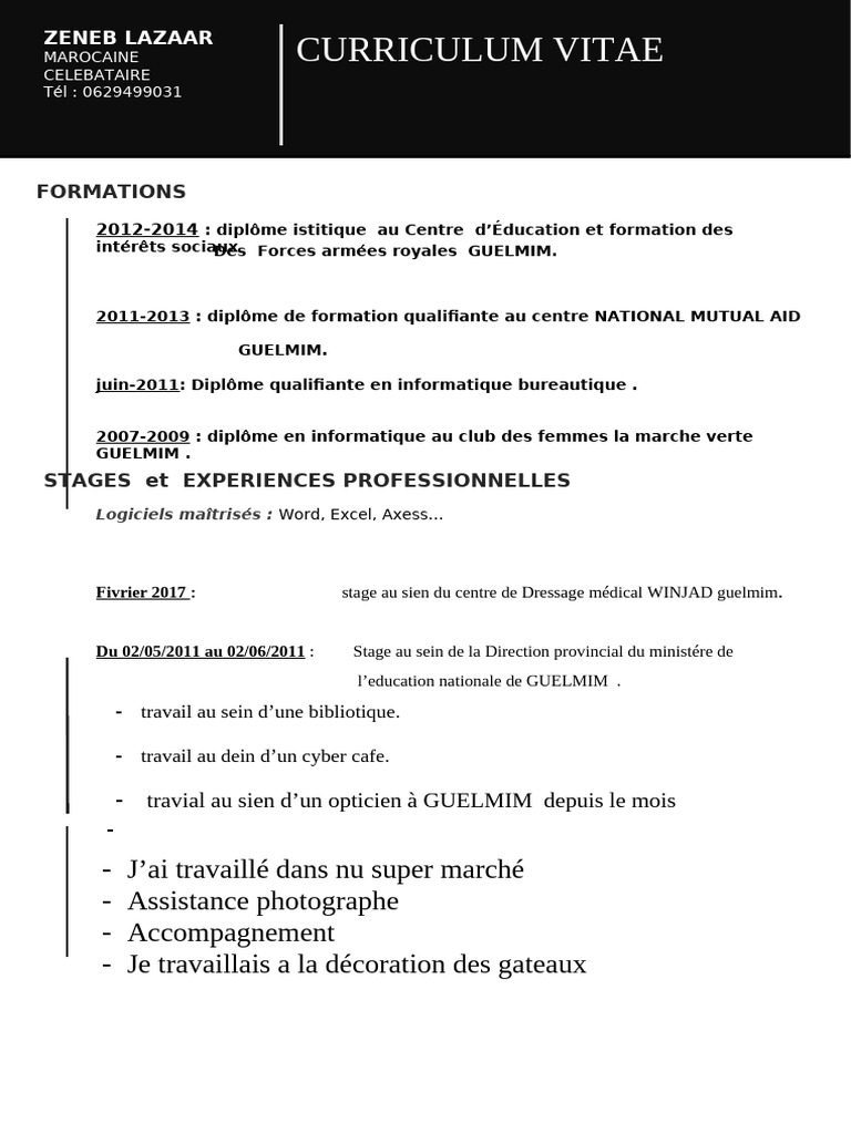 CV Zeneb 02 | PDF