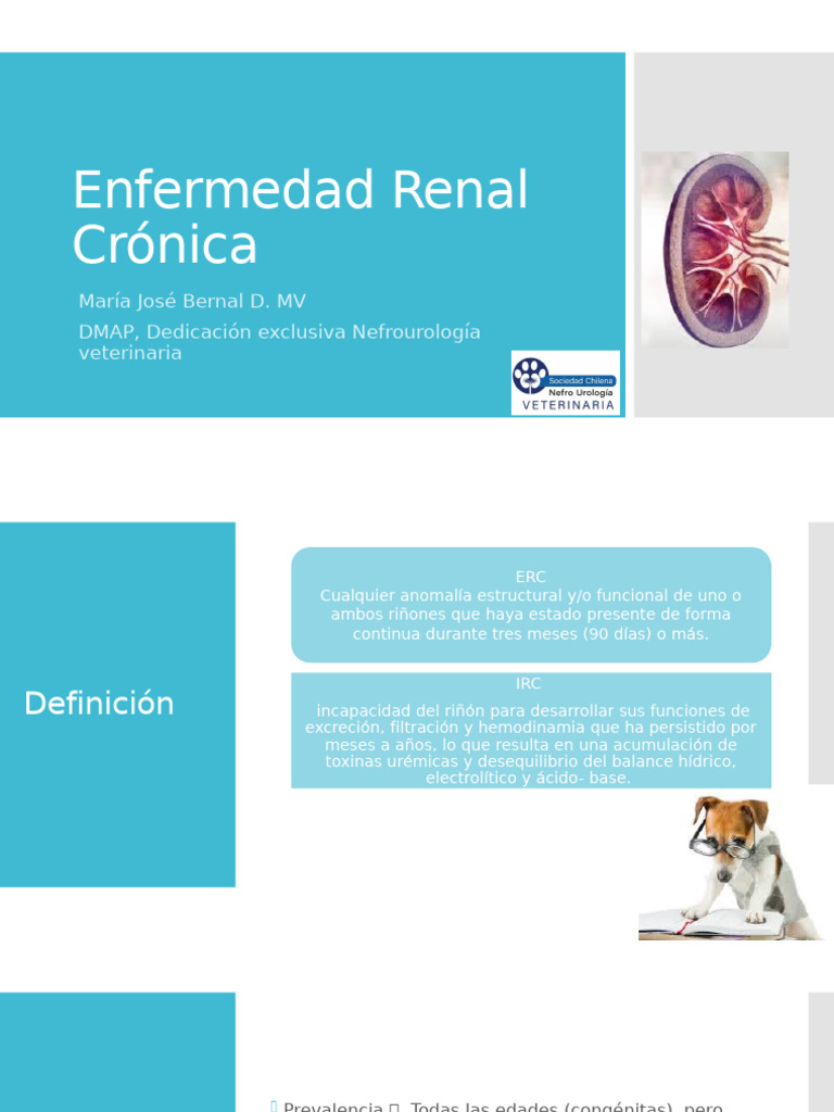 ERC en Perros y Gatos | PDF