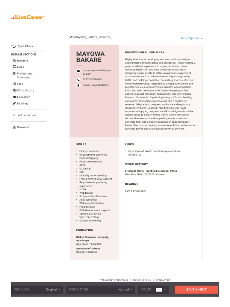 Web Developer CV-1 | PDF