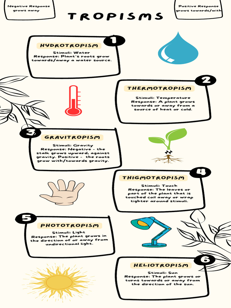 Science EC - Tropisms | PDF