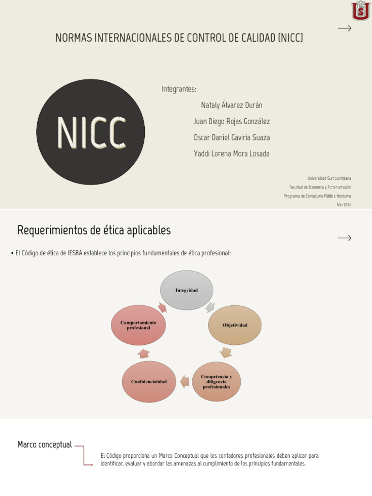 Grupo 3. Nicc | PDF | Auditoría | Contador
