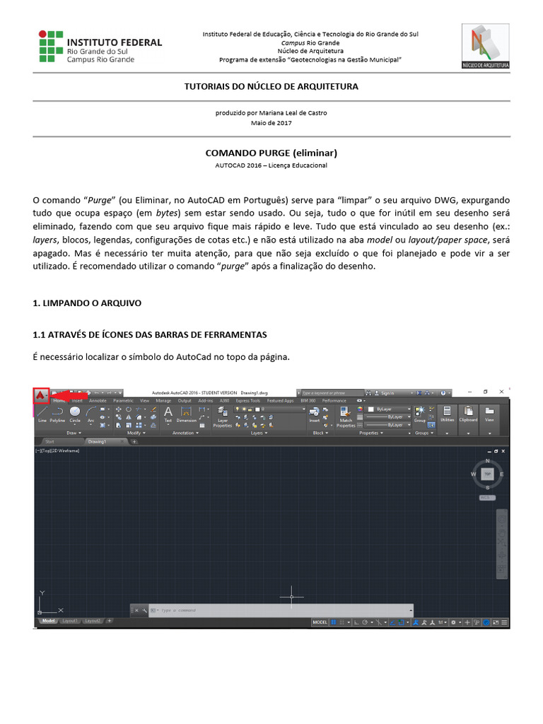 Tutoriais Narq Autocad Limpeza Do Arquivo Com Comando Purge Mariana 2017 | PDF | Auto Cad ...
