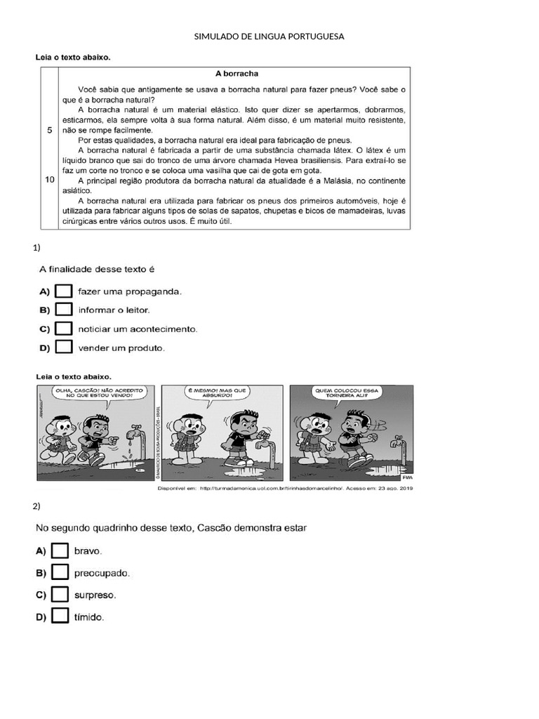 Simulado 4 Ano | PDF