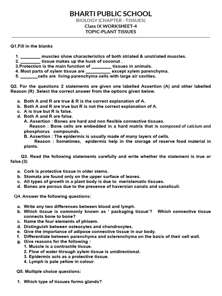 Class Ix Chapter - Tissues (Worksheet-4) | PDF