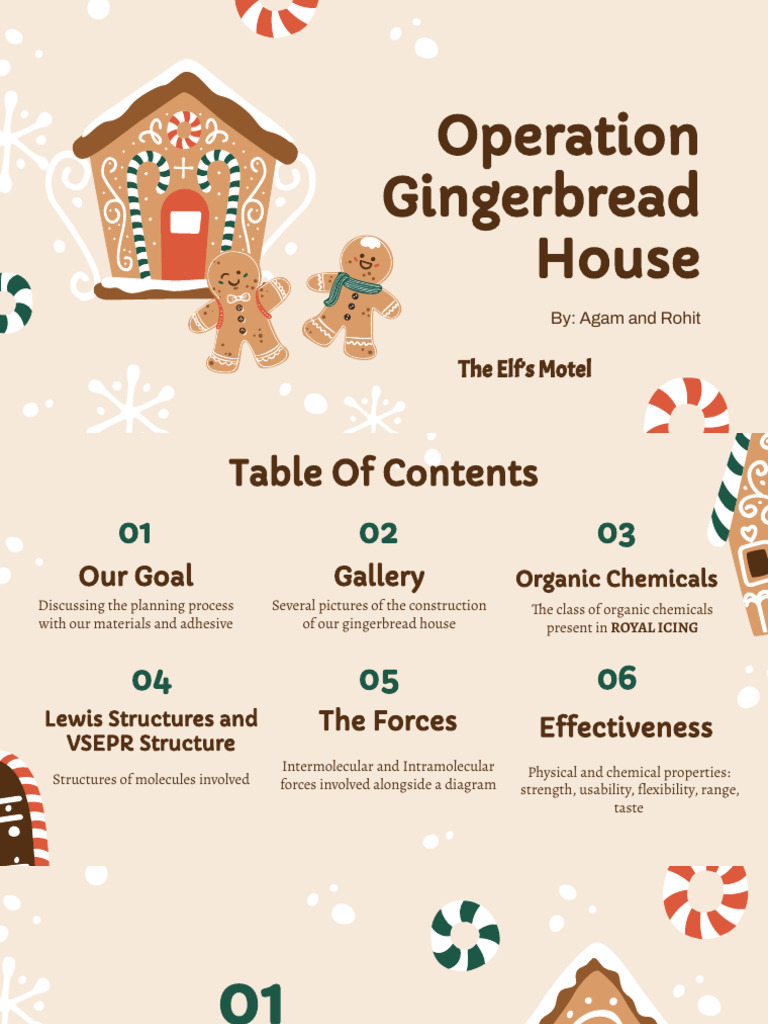Operation Gingerbread House | PDF