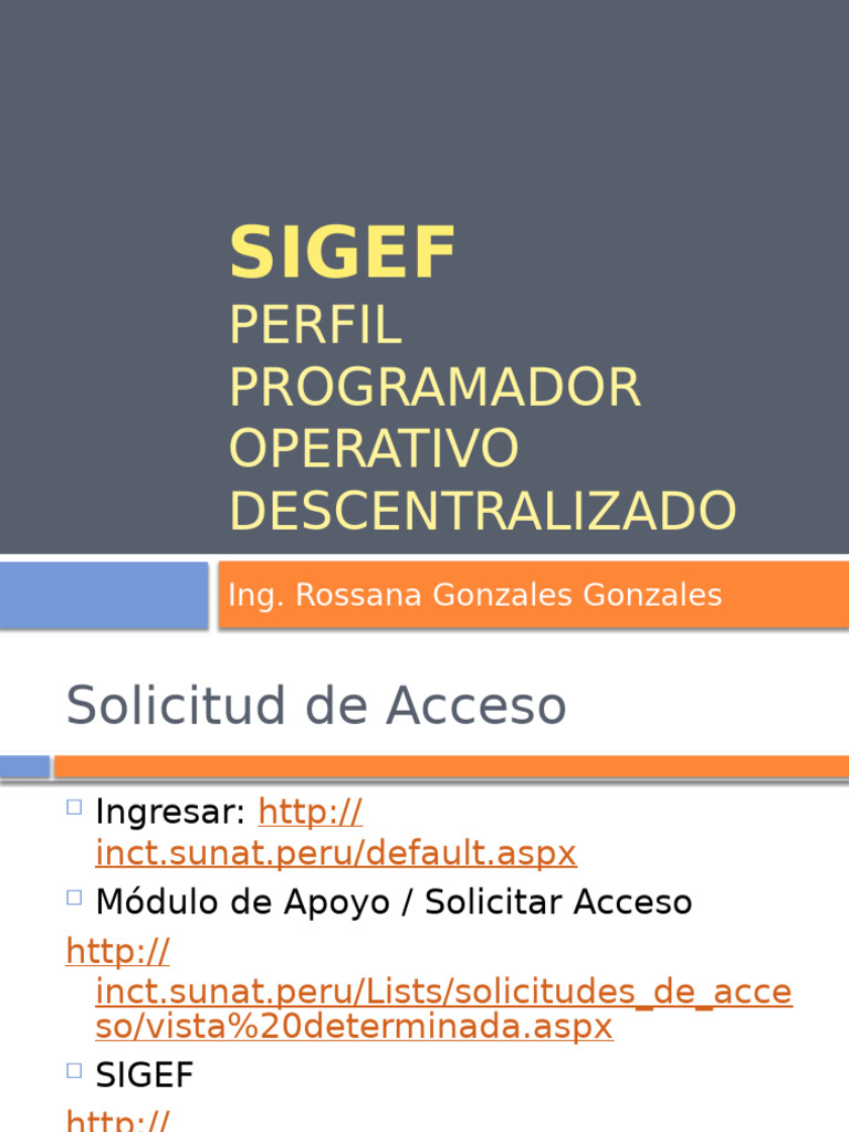 Programador Operativo Descentralizado | PDF
