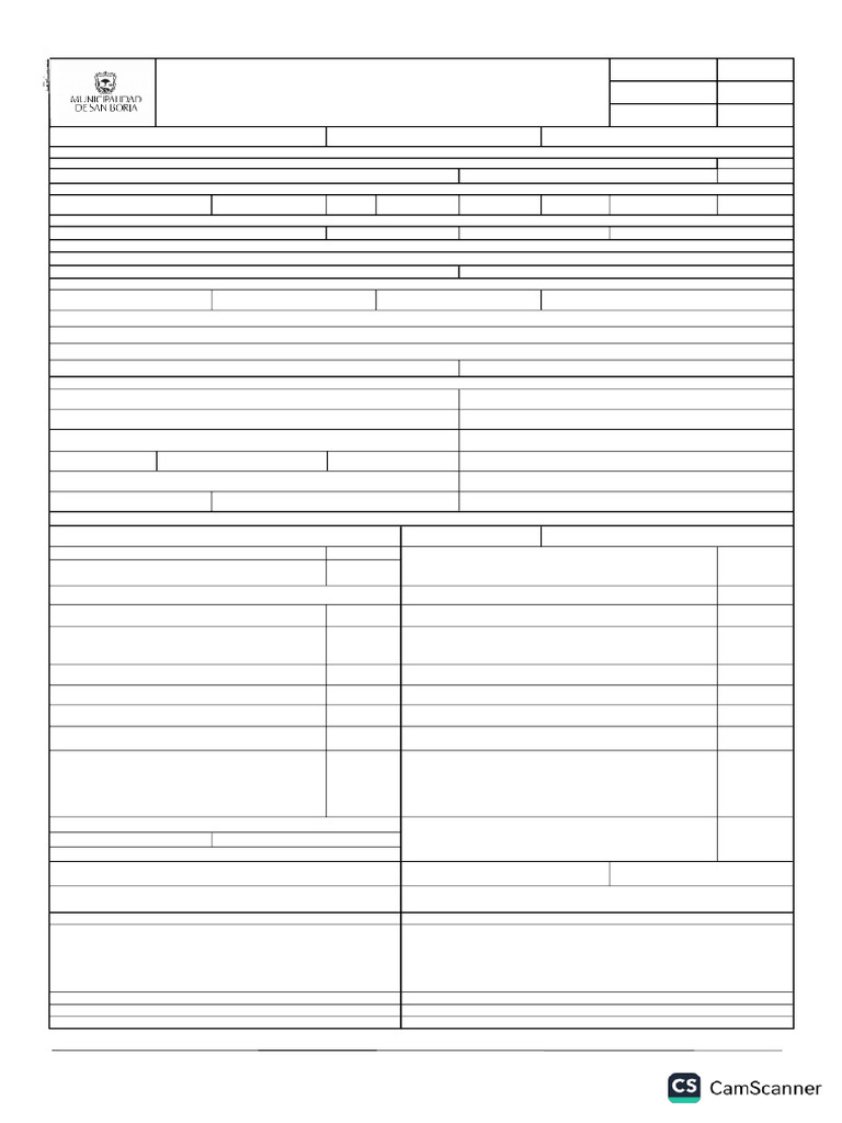 Formato-de-Solicitud ECSE-1 | PDF