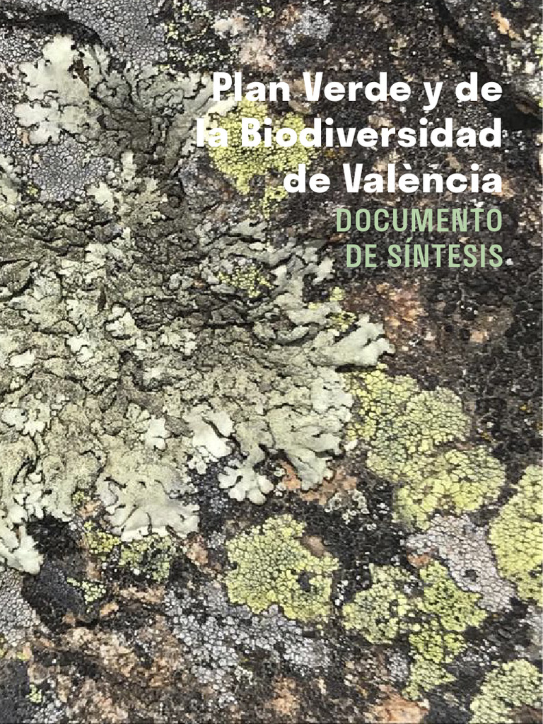 Plan Verde Valencia Documento Sintesis | PDF