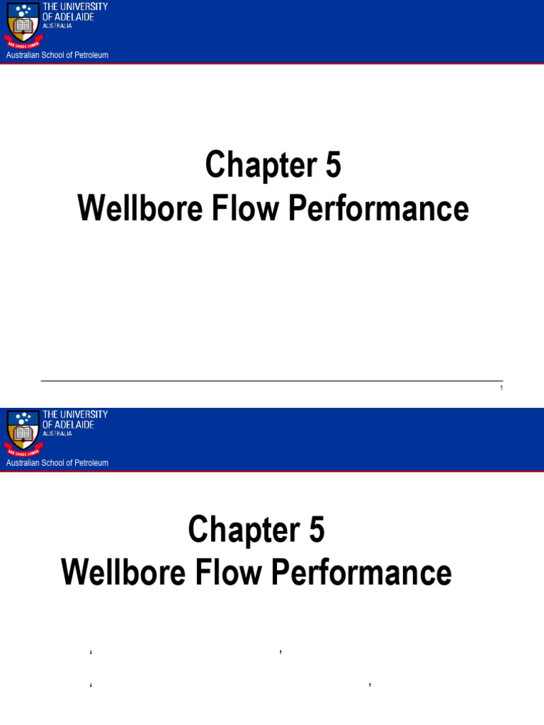 Chapter 5. Lec - Wellbore Flow Performance - Lecture | PDF