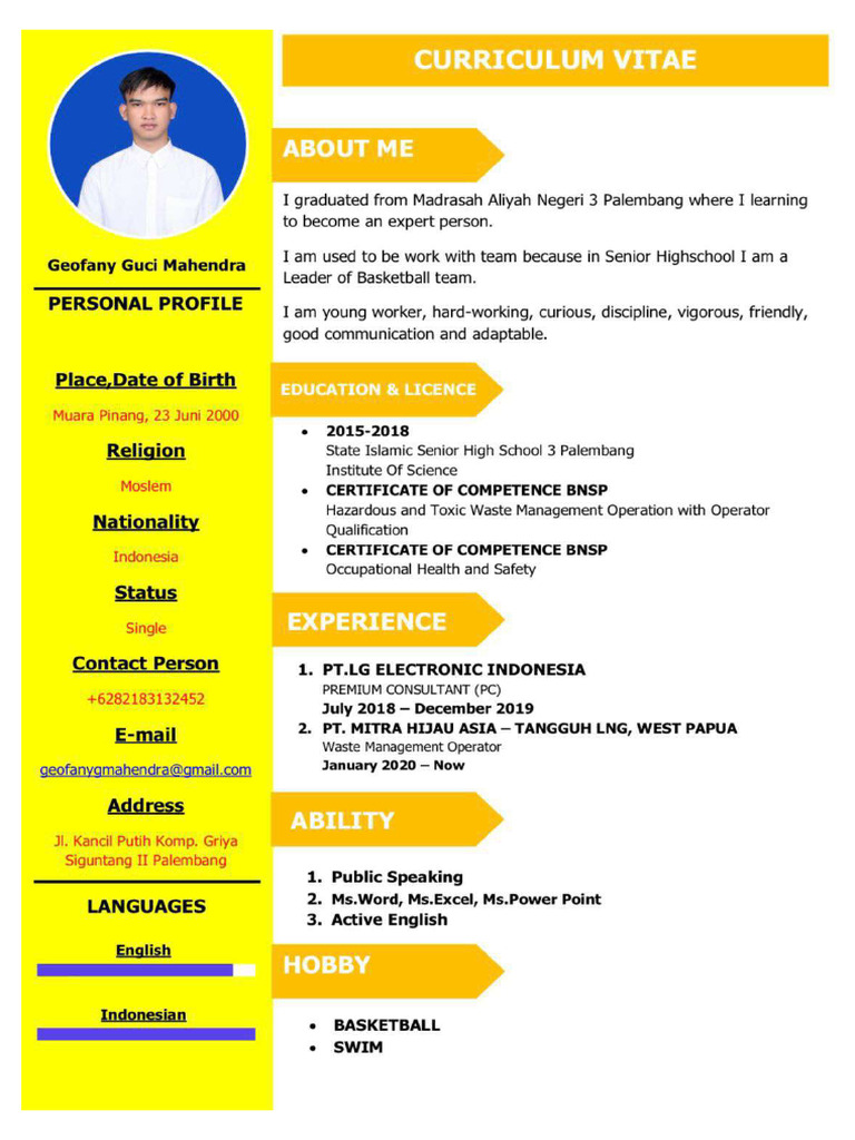 CV & Data Geo-Hse Officer | PDF