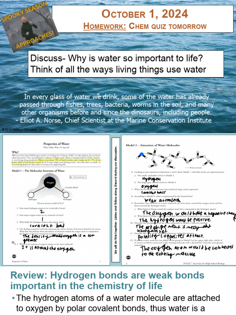 Discuss-Why Is Water So Important To Life? Think of All The Ways Living ...