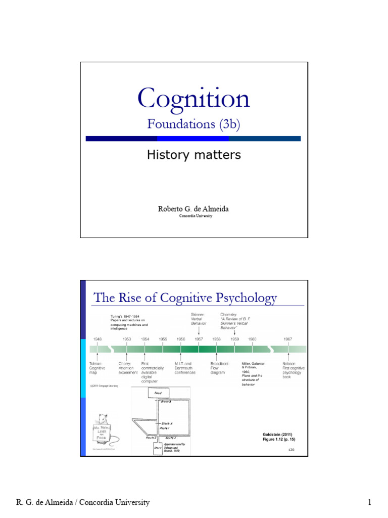 Lecture 3 Cognition | PDF | Functional Magnetic Resonance Imaging | Psychology