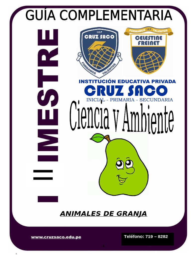 Inicial Peritas - 3 Años - II Bimestre - 2014 | PDF | Aves