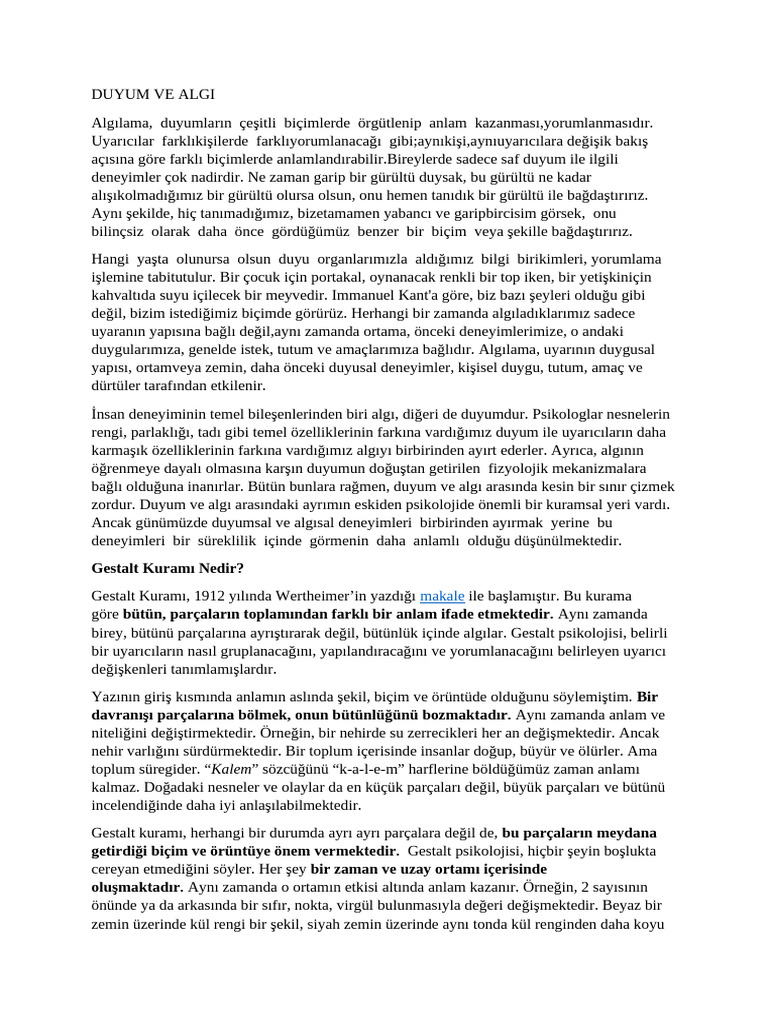 Vize Icin Notlar | PDF