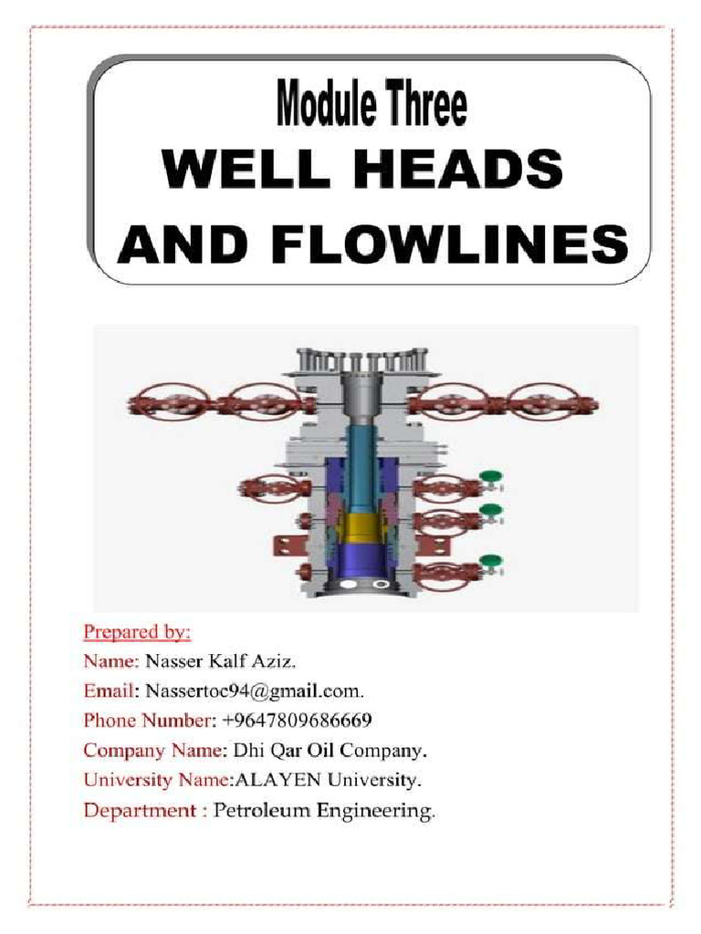 Wellhead and Flowlines | PDF