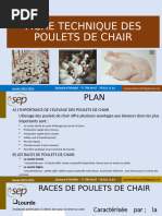 Projet Poulet Goliath | PDF