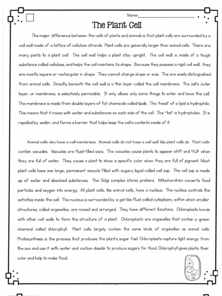 Plant Cell Passage | PDF