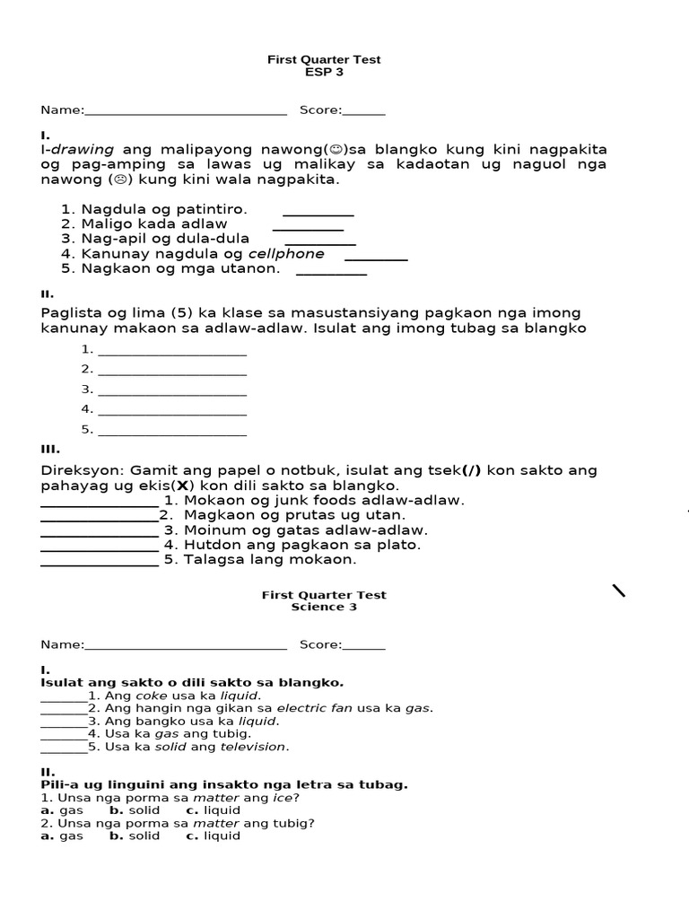1st Quarter Test | PDF