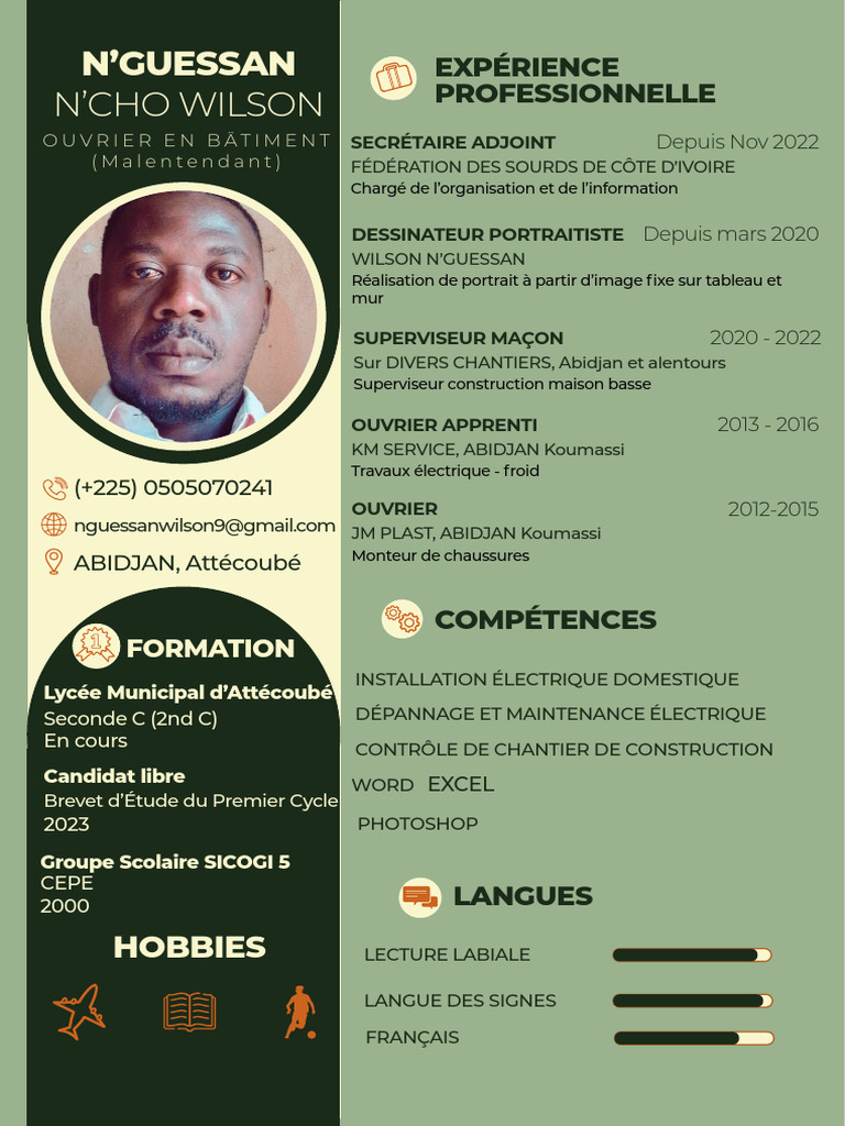 CV N'cho Wilson - 1 | PDF