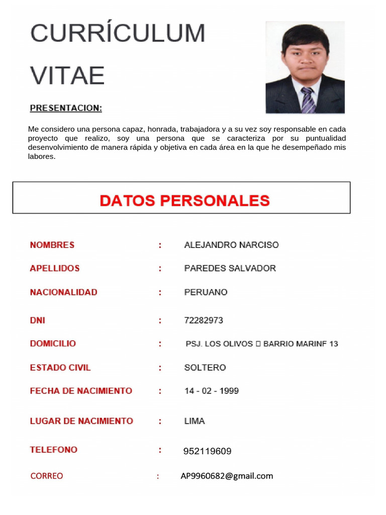 Curriculum Vitae Alejandro Paredes Salvador | PDF