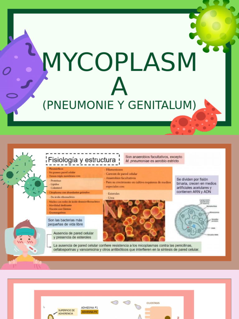 Mycoplasma | PDF