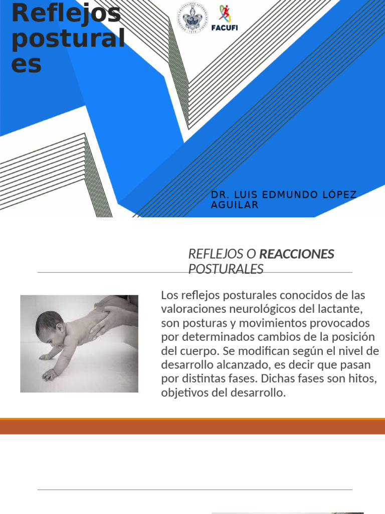 Reflejos o Reacciones Posturales | PDF