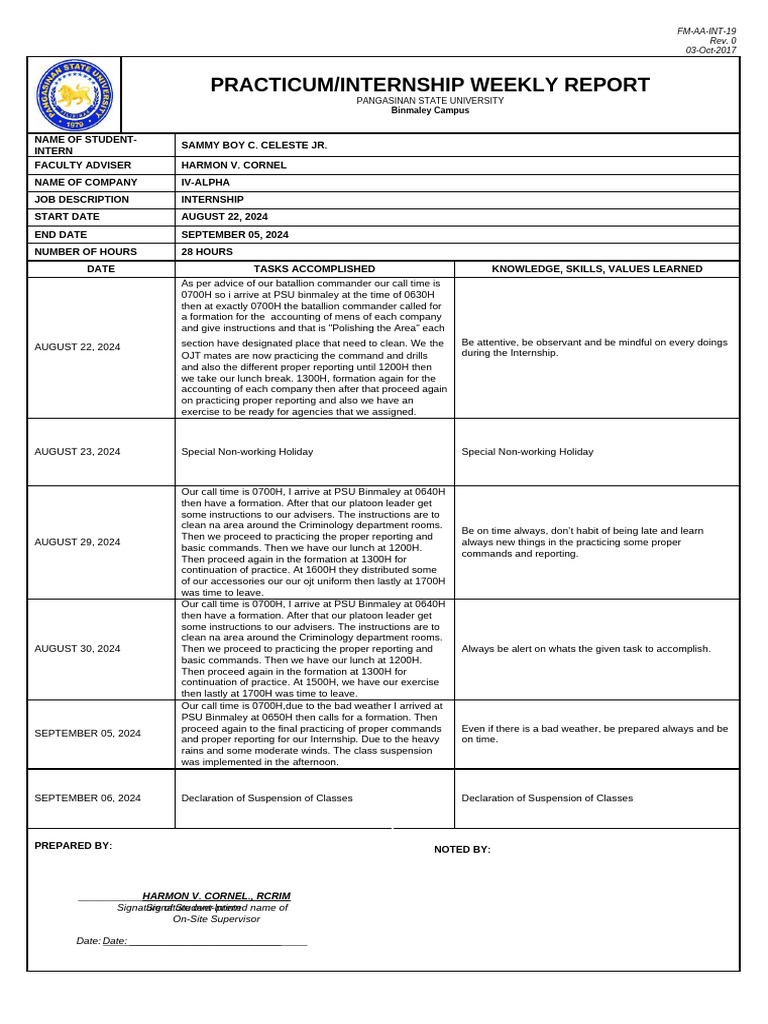Celeste1 Weekly Report | PDF