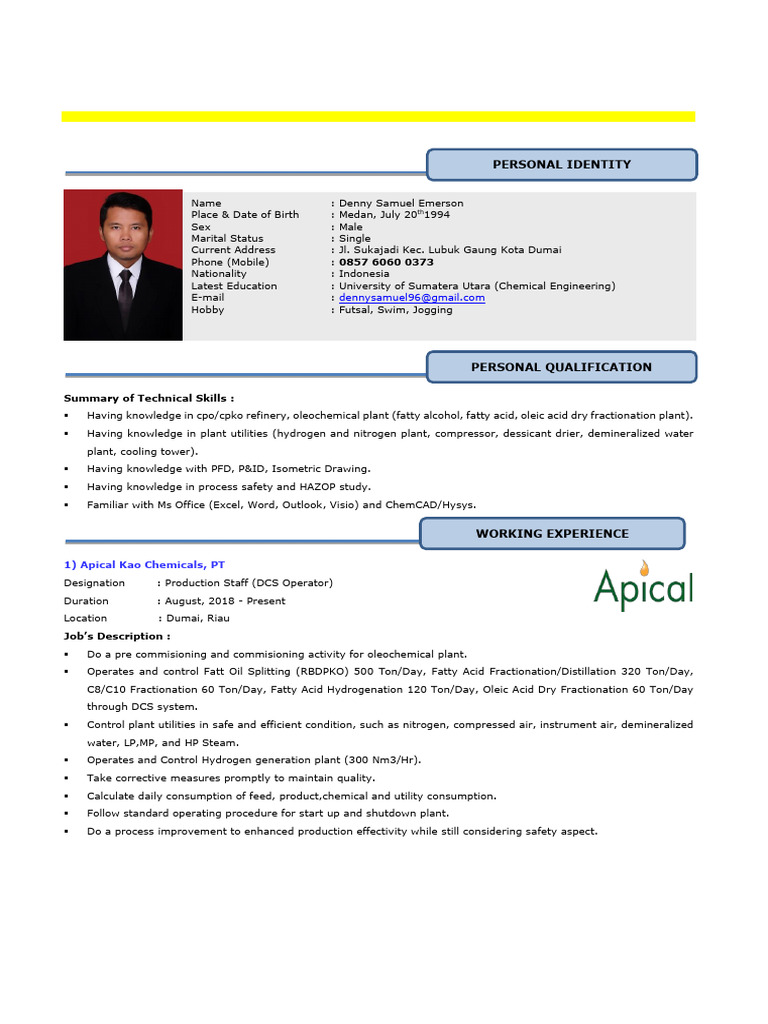 CV - Denny Samuel Emerson | PDF