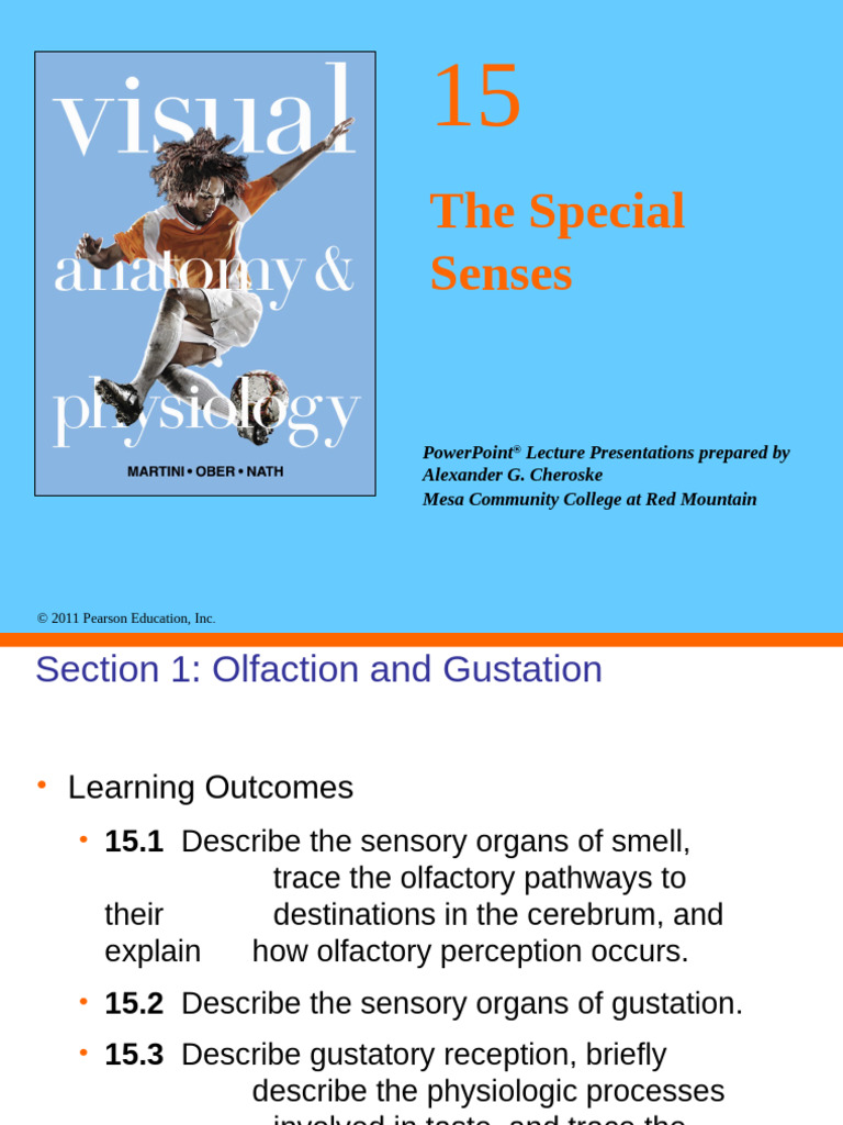 CH 15 Lecture Presentation | PDF